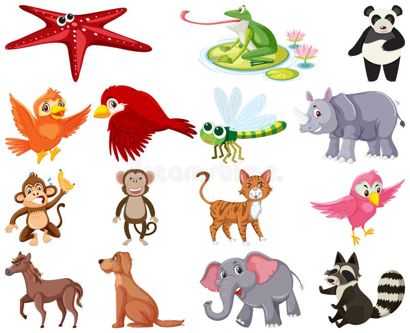 Set of Various Animals Cartoon Stock Vector - Illustration of beach ...