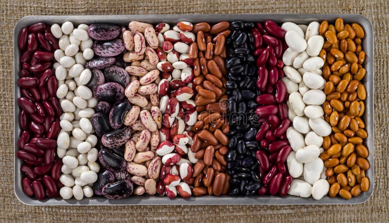 A set of various beans stock photo. Image of bean, kidney - 115758168