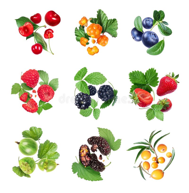Set of Various Berries with Leaves Isolated on White Background Stock ...