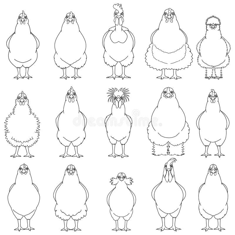Set of Various Chicken Line Art Stock Vector - Illustration of isolated ...