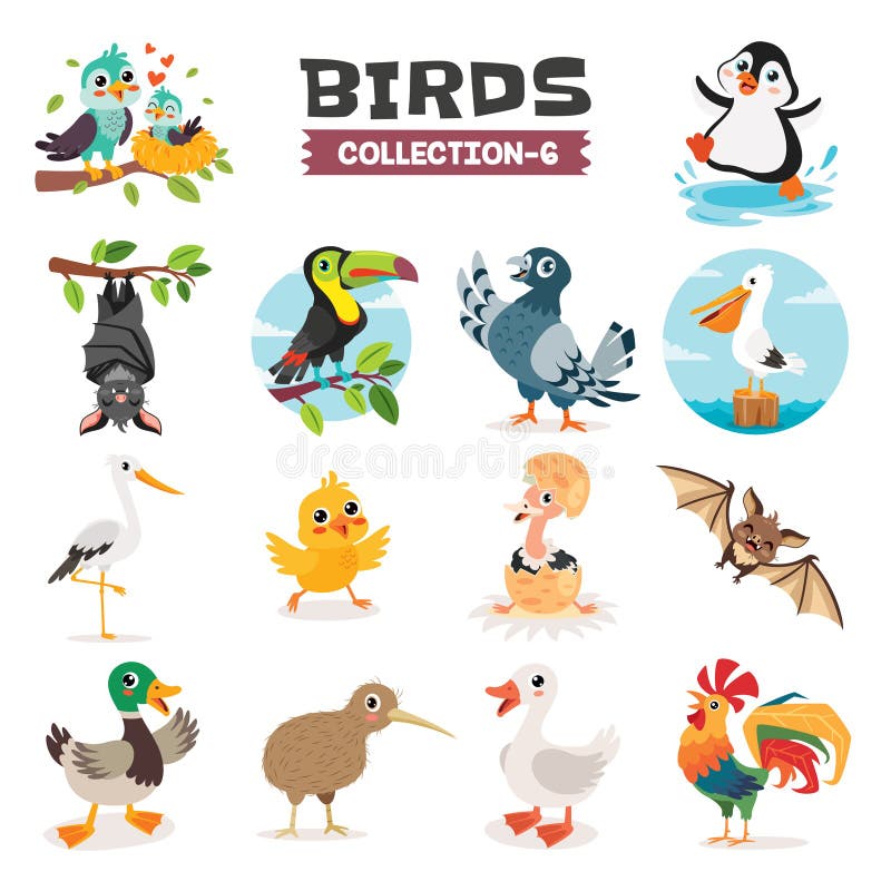 Set of Various Cartoon Birds Stock Illustration - Illustration of bird ...