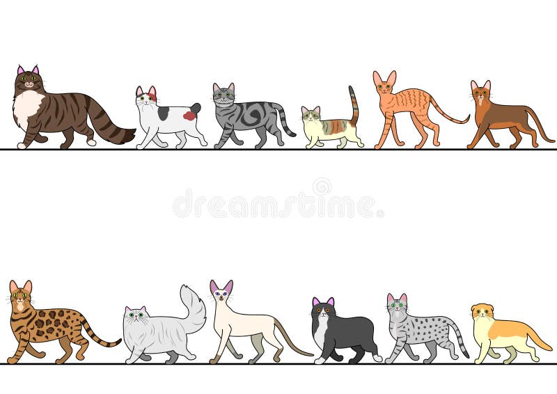 Set of Various Cats Walking in Line Stock Vector - Illustration of line ...