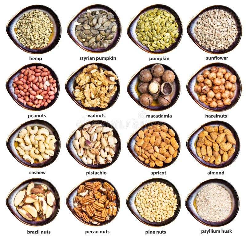 Set of Various Cores of Nuts with Names in Bowls Stock Photo - Image of ...
