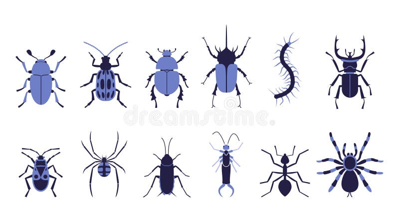 Set of Various Crawling Insects. Stock Vector - Illustration of beetle ...