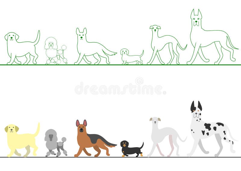Set of Various Dogs Walking in Line Stock Vector - Illustration of ...