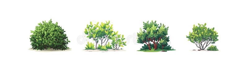 Set of Various Green Bushes. Vector Illustration Design Stock ...