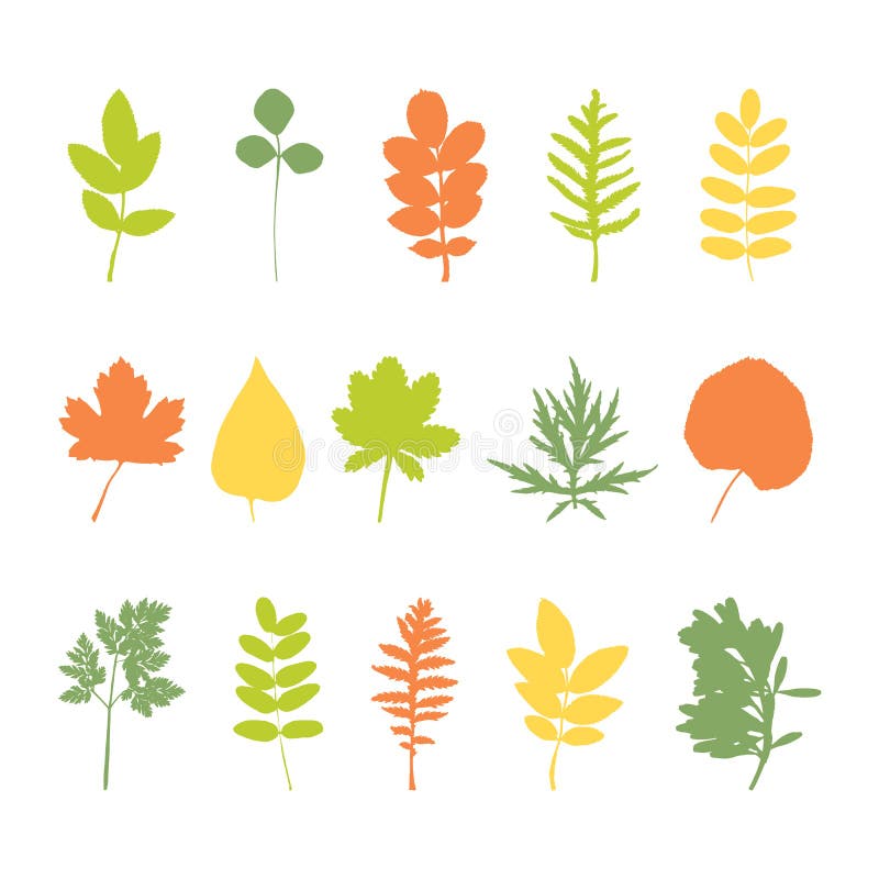 Leaf elements. stock vector. Illustration of silhouette - 19856773