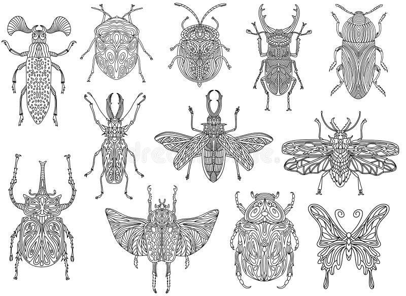 Assorted Bugs Stock Illustrations – 26 Assorted Bugs Stock ...