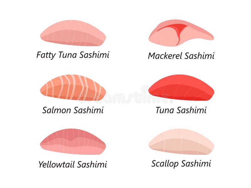 Set of Various Sashimi Slices Vector Illustration Stock Vector ...