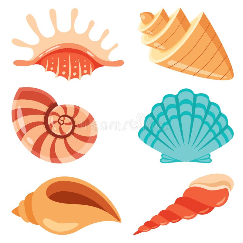 Set of Various Sea Shells stock vector. Illustration of drawing - 256897042