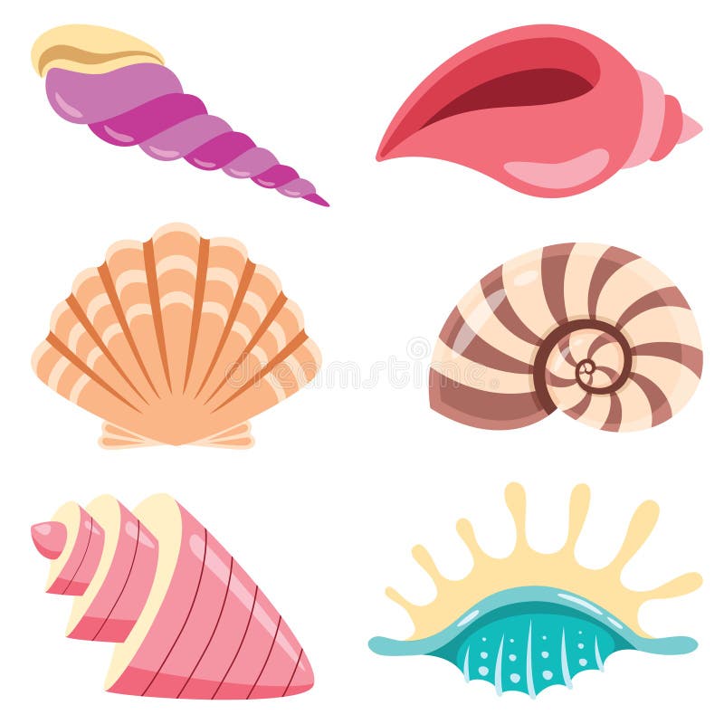 Set of Various Sea Shells stock vector. Illustration of vector - 256897075