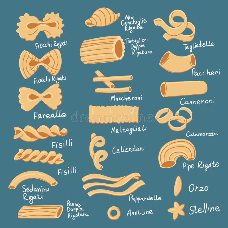 Set with Various Shapes of Pasta with Names. Collection of Vector ...