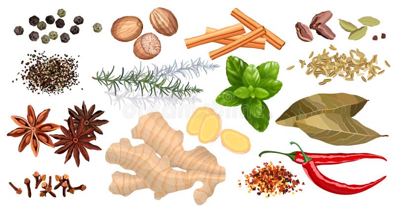 Set of Various Spices and Herbs Top View Vector Stock Vector ...