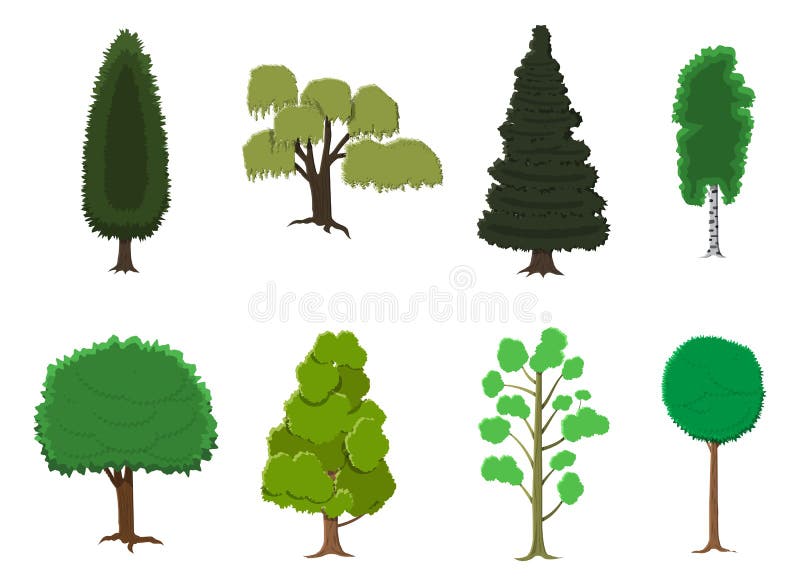 Set of Various Stylized Trees in Flat Style Stock Vector - Illustration ...