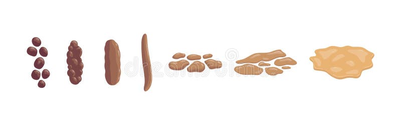 Healthy Human Poop Chart