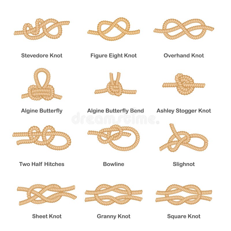 All Types of Knots Demonstrated with Strong Rope Stock Vector ...