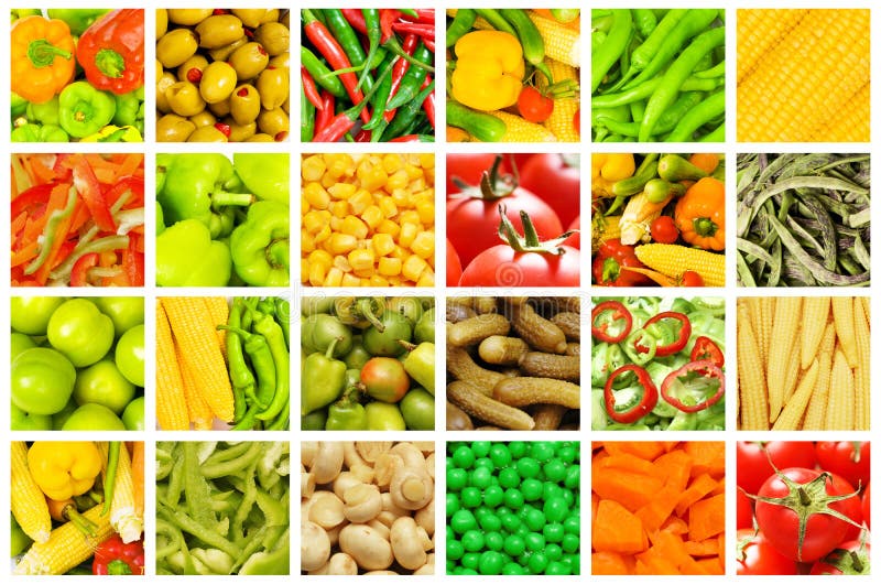 Set of various vegetables stock image. Image of ripe - 22339975
