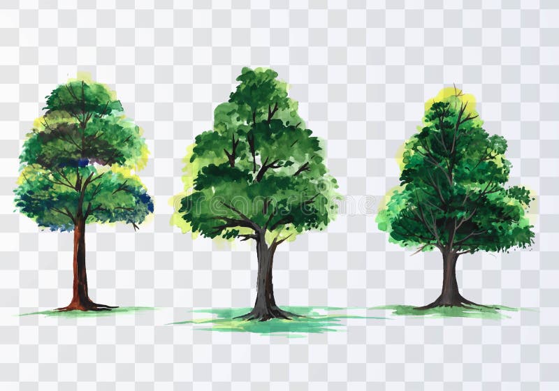 Set of Various Watercolor Trees on Transparent Background Stock Vector ...