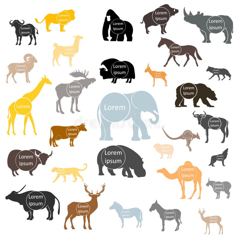 Set of vector animals stock vector. Illustration of asian - 70132574
