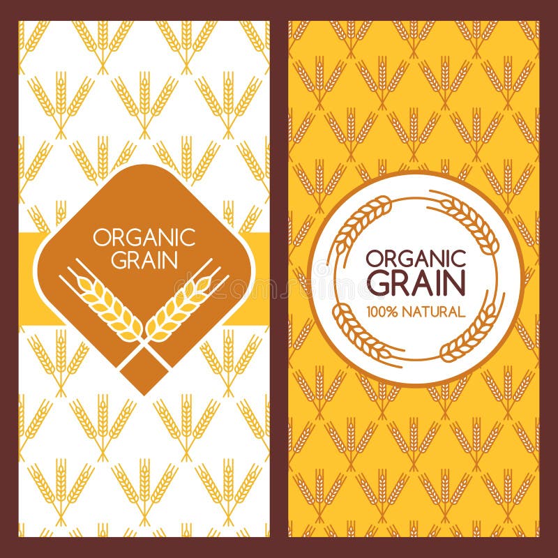 Set of Vector Backgrounds for Banner, Label, Package Template. Stock ...