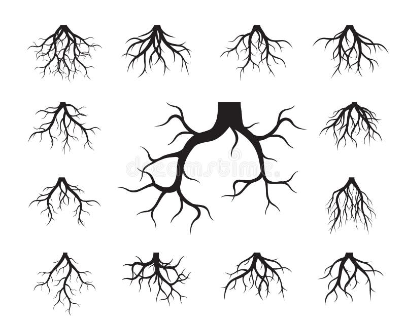 Set Vector Black Roots. Vector Outline Illustration Stock Vector ...