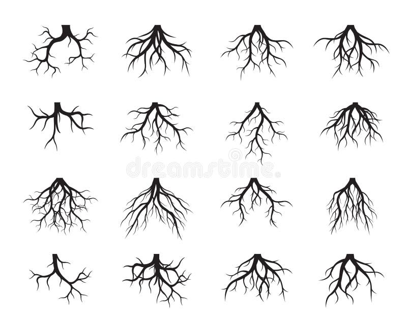 Set Vector Black Roots. Vector Outline Illustration Stock Vector ...