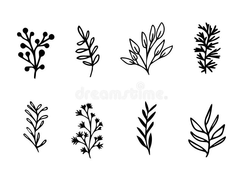 Set of Vector Black and White Plants Stock Vector - Illustration of ...