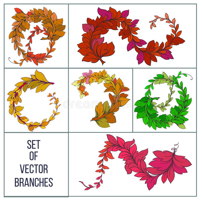 Set of Vector Branches. Vector Branches with Leaves Stock Vector ...