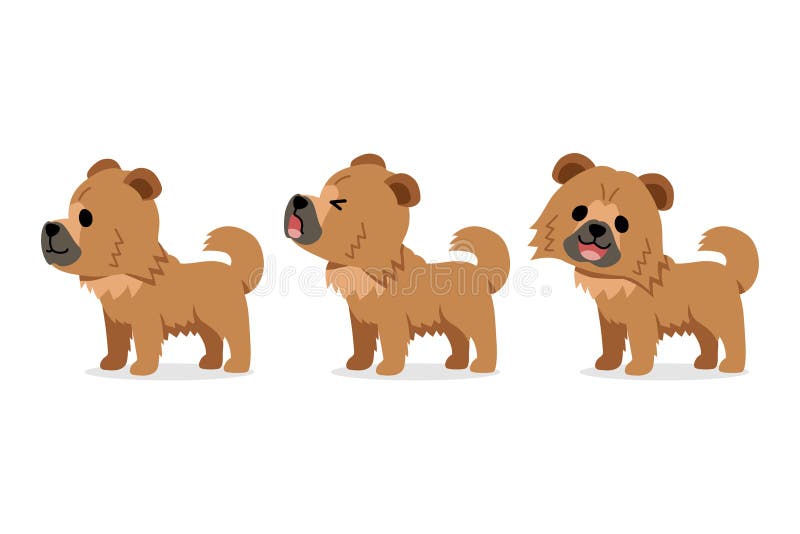 Set of Vector Cartoon Character Cute Chow Chow Dog Stock Vector ...
