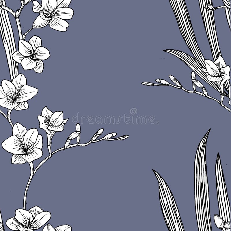 Seamless Pattern with Fresia. Hand Drawn. Grahics. Stock Image - Image ...