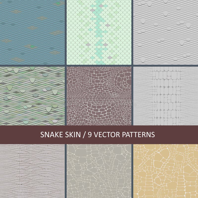 Set of Vector Decorative Snake Skin Textures Stock Vector ...