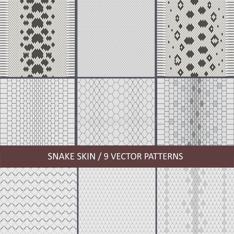 Set of Vector Decorative Snake Skin Textures Stock Vector ...