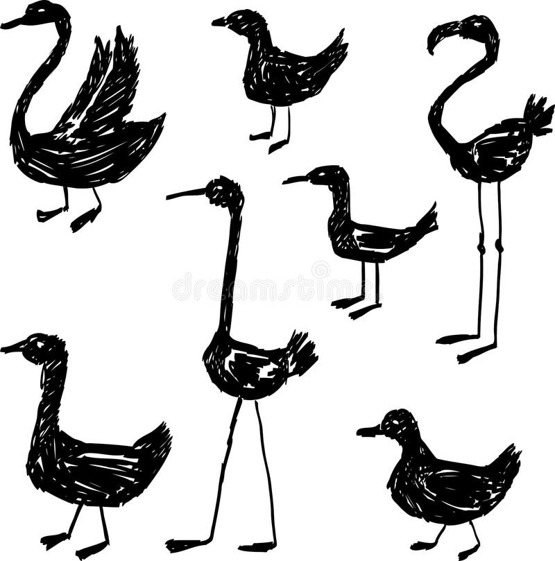 Vector Image of Drawn Silhouettes of Various Waterbirds Stock Vector ...