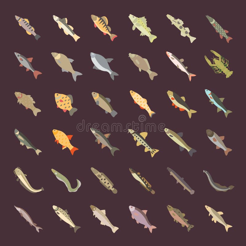 Set Vector Flat Icons of Freshwater Fish Stock Illustration ...