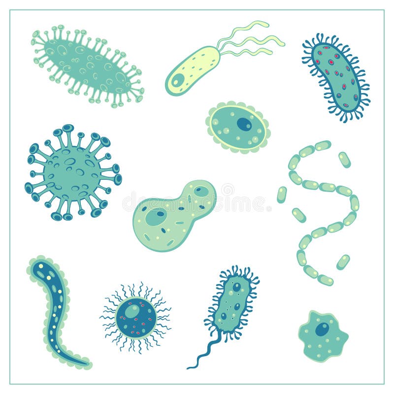 Set of Vector Flat Illustration with a Different Bacteria, Virus, Cells ...