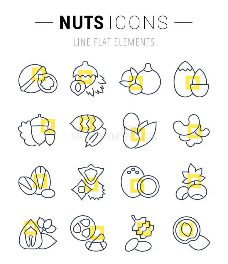 Set Vector Flat Line Icons of Nuts Stock Illustration - Illustration of ...