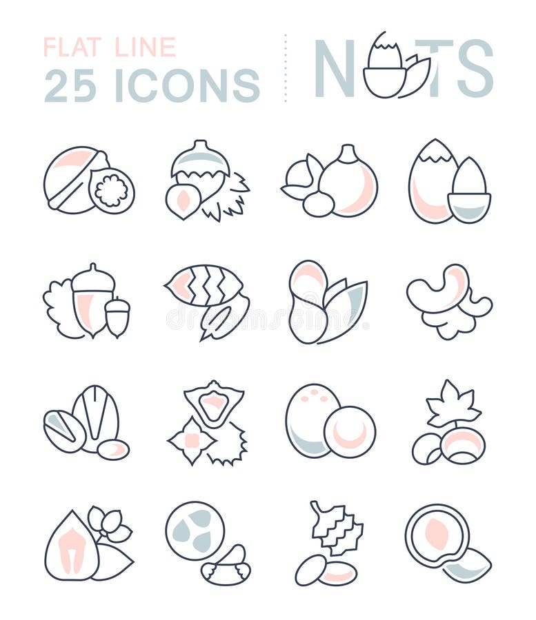 Set Vector Flat Line Icons of Nuts Stock Illustration - Illustration of ...
