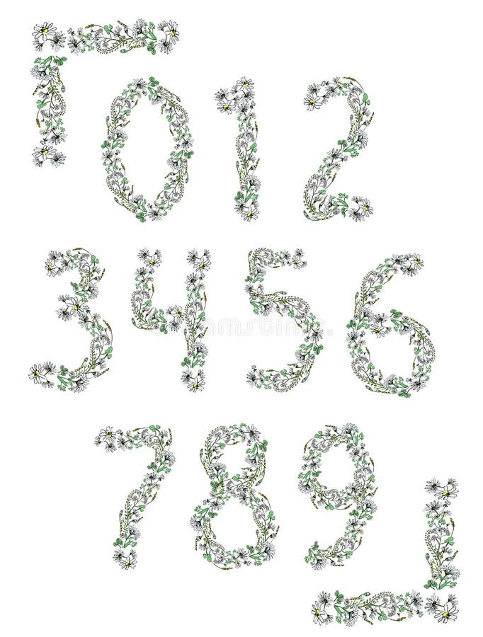 Set of Vector Floral Digits or Numbers and Frames. Field Flowers and ...