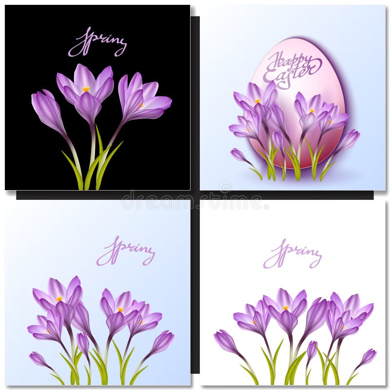 Crocus Stock Illustrations – 17,317 Crocus Stock Illustrations, Vectors ...