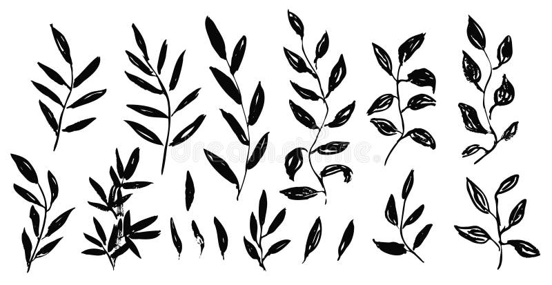 Set of Vector Hand Drawn Black Textured Ink Leaves Stock Illustration ...