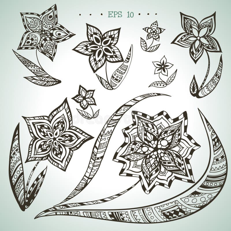 Set of Vector Hand Drawn Ornamental Flowers Stock Vector - Illustration ...