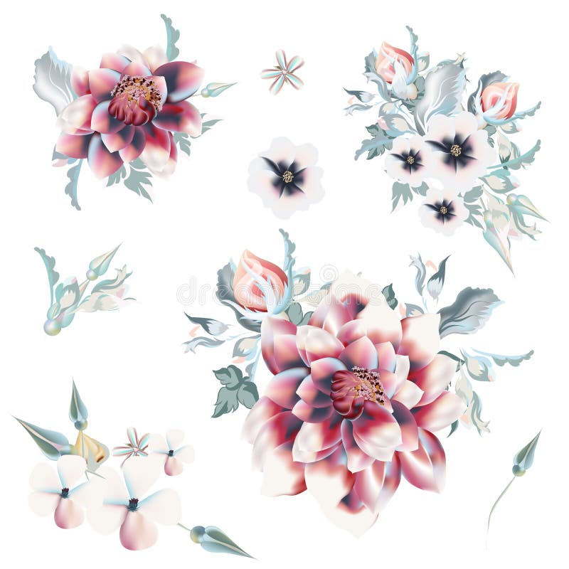 Set of Vector High Detailed Flowers Stock Vector - Illustration of ...