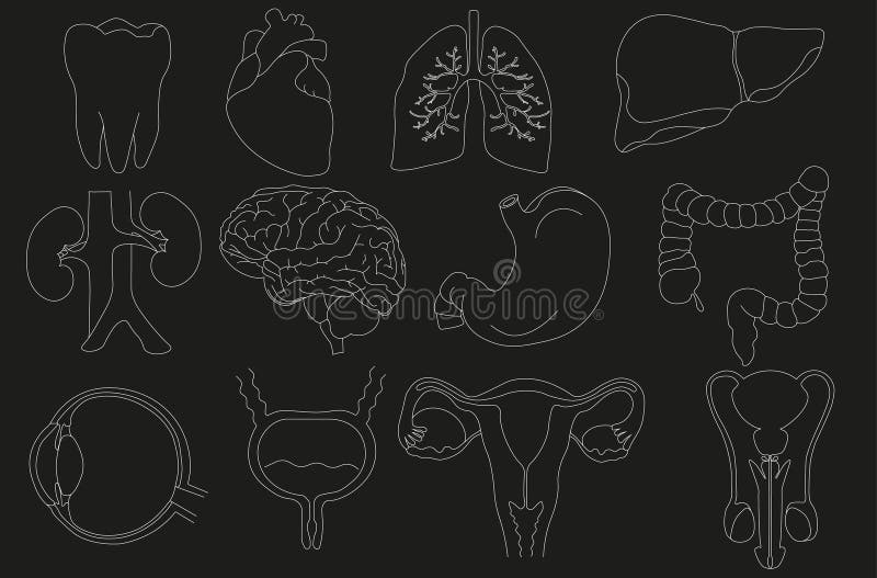 Pixel Human Ear Vector Stock Illustrations – 152 Pixel Human Ear Vector ...