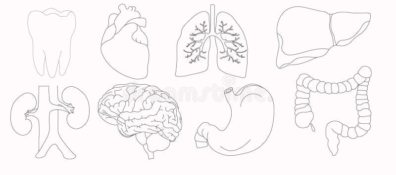 Pixel Human Ear Vector Stock Illustrations – 152 Pixel Human Ear Vector ...