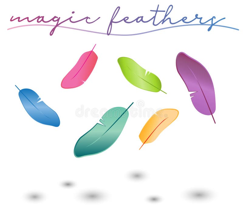 Set of Vector Illustration - Feathers Stock Vector - Illustration of ...