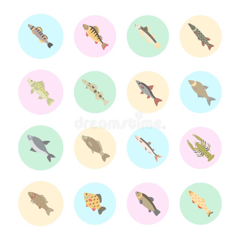 Set Vector Flat Icons of Freshwater Fish Stock Illustration ...