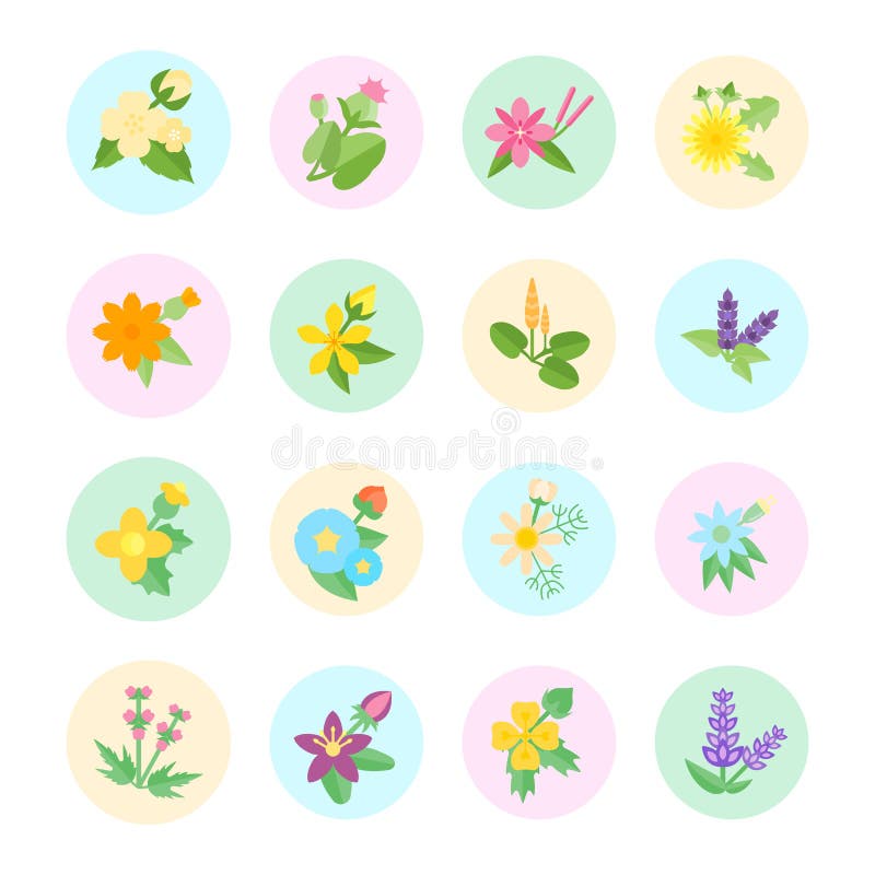 Set Vector Flat Icons of Herbs Stock Illustration - Illustration of ...