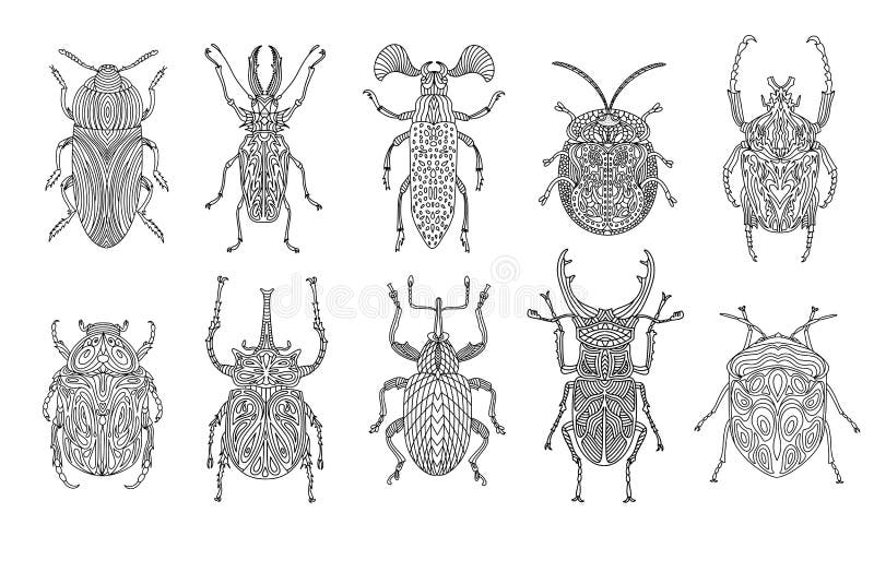 Assorted Bugs Stock Illustrations – 18 Assorted Bugs Stock ...