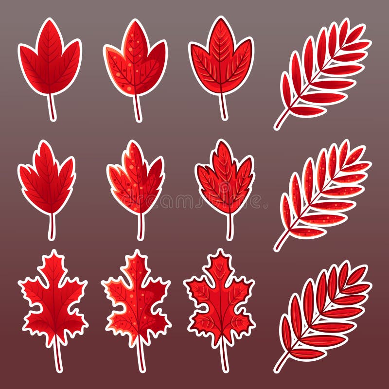 Set of Vector Illustrations of Complex Red Leaves Stock Vector ...