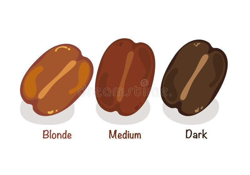 Set of Vector Illustrations of Delicious Cafe Coffee Drinks. Stages of ...